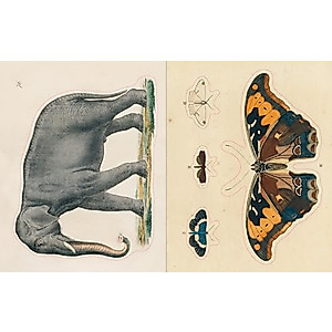 John Derian Sticker Book (John Derian Paper Goods)