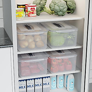 Julyeen 6 Packs Large Plastic Airtight Rectangular Food Storage Container, 15L/33 Lbs, Kitchen Pantry Dry Food Cat/Dog Food Storage Containers Set, Proof Dough Containers, Bread Box