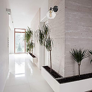 Globe Electric 51367 1-Light Wall Sconce, Matte Black, Gold Accent Socket, Clear Glass Shade, Wall Lighting, Wall Lamp Dimmable, Wall Lights for Bedroom, Kitchen Sconces Wall Lighting, Home Décor