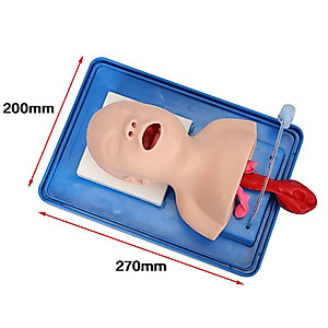 PVC Intubation Manikin Study Teaching Model Infant Baby Model Airway Management Trainer Tool with Tube (US Stock)