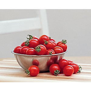 Burpee Super Sweet 100' Hybrid Cherry Tomato, 50 Seeds