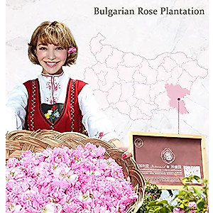 Rose Essential Oil 100% Pure Aromatherapy Oil Best Grade Rose Oil for Diffuser, Perfumes, Massage, Skin Care - 10ml