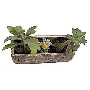Classic Home and Garden 240001P-432 Dakota Trough, Earth Moss, Large