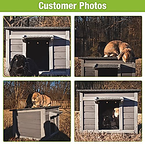 Small Wooden Rabbit Hutch Outdoor Bunny Cage Indoor Guinea Pig Cage Small Animal House Weatherproof