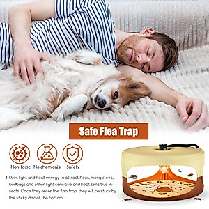2Pcs Flea Traps for Inside Your Home Flea Bombs for Home Flea Trap Indoor with 4 Sticky Disc&6 LED Bulbs&2 Electric Wires Pet&Kid Safe,Odorless Flea Catcher Sticky Bed Bug Trap for Home (Yellow)