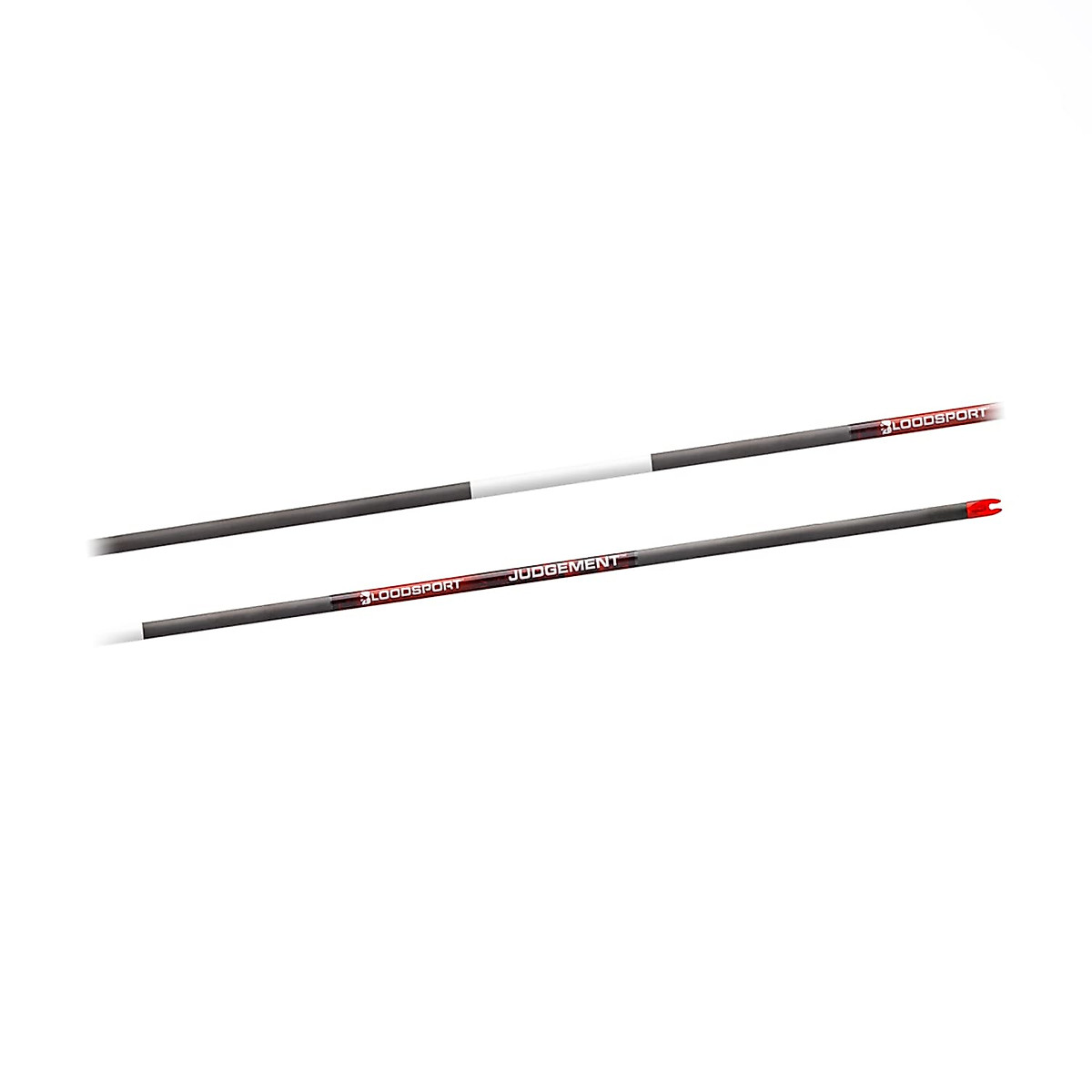 BLOODSPORT Judgement Bare Shaft Lightweight Precise Durable Carbon Hunting Arrow for Compound Bow - 31" Length, 244" Standard-Diameter, 001" Straightness, 12 Pack, 300 Spine
