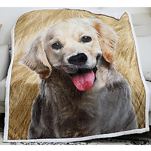 Zevrez Golden Retriever Blanket, Cute Golden Retriever Gifts Kids Throw Blanket with Dog on It Soft Flannel Blanket Gift for Golden Retriever Lovers Boys Girls Sofa Bed 48"x60"