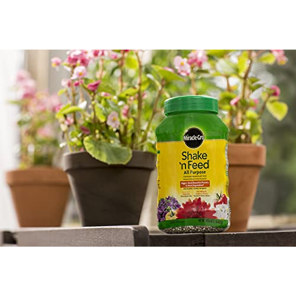 Miracle-Gro Shake 'n Feed All Purpose Continuous Release Plant Food, 1-Pound (Slow Release Plant Fertilizer)