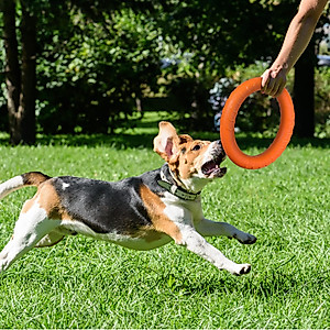 Leitee 2 Pack Dog Ring Toys Indestructible Dog Toys Dog Chewing Ring Toy Flying Discs Floating Dog Training Tools Pet Fetch Toy for Small Medium Large Dogs Throwing, Catching, Flying