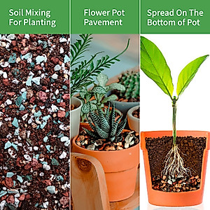 Jowlawn Mix Horticultural Lava Rock Pebbles - 2.7lb Pumice Potting Soil Amendment for Succulents Cactus Plants, Gritty Rocks Decorative Gravel Plant Drainage for Terrarium Potted Plants