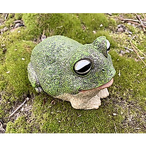 Top Brass Chunky Frog Key Hider Figurine - Cute Toad Garden Statue with Secret Compartment - Indoor / Outdoor