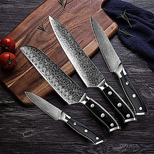 COOSNUG Damascus 4Pcs Kitchen Knife Set, Japanese VG-10 Stainless Steel 67 Layers Damascus Knife, Japanese 8" Chef knife, 7" Santoku knife, 5" Utility knife and 3.5" Paring knife Sharp Cooking Knife