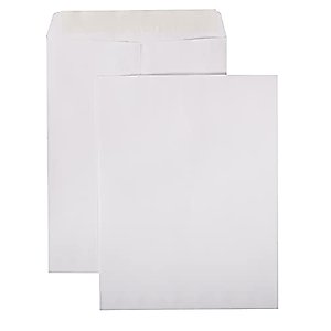Amazon Basics Catalog Mailing Envelopes, Peel & Seal, 10x13 Inch, White, 100-Pack