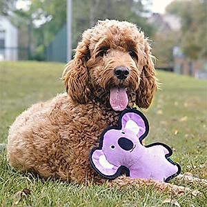 Beco Soft Koala Bear Dog Toy, Cuddle, Chew, Fetch & Squeak Toy Dogs & Puppies, Double Stitched for Durability, Made with Recycled Materials