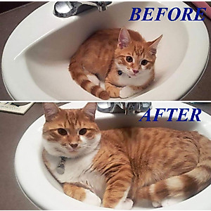 X2 Pcs(100ml) Multivitamin Daily Essential Cat Food Vitamins & Minerals Omega3, Helps Support Health, More Fat, Digestion, Skin, Coat, Allergy Immune Supplement Nourished Blood & Eye