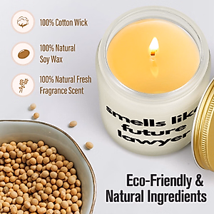 Gifts for Law Students, Law School Essentials, Law School Graduation Gifts, Funny Future Lawyer Gifts, Lawyer Gifts for Women Men, Bar Exam Gifts, Lavender Scented Candle