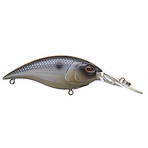 Berkley Money Badger Fishing Lure, Firetail Green Craw, 1/3 oz, 2.5in | 6.25cm, Hybrid Baitfish-Crayfish Design, Patented FlashDisc Technology, Equipped with Sharp Fusion19 Hooks