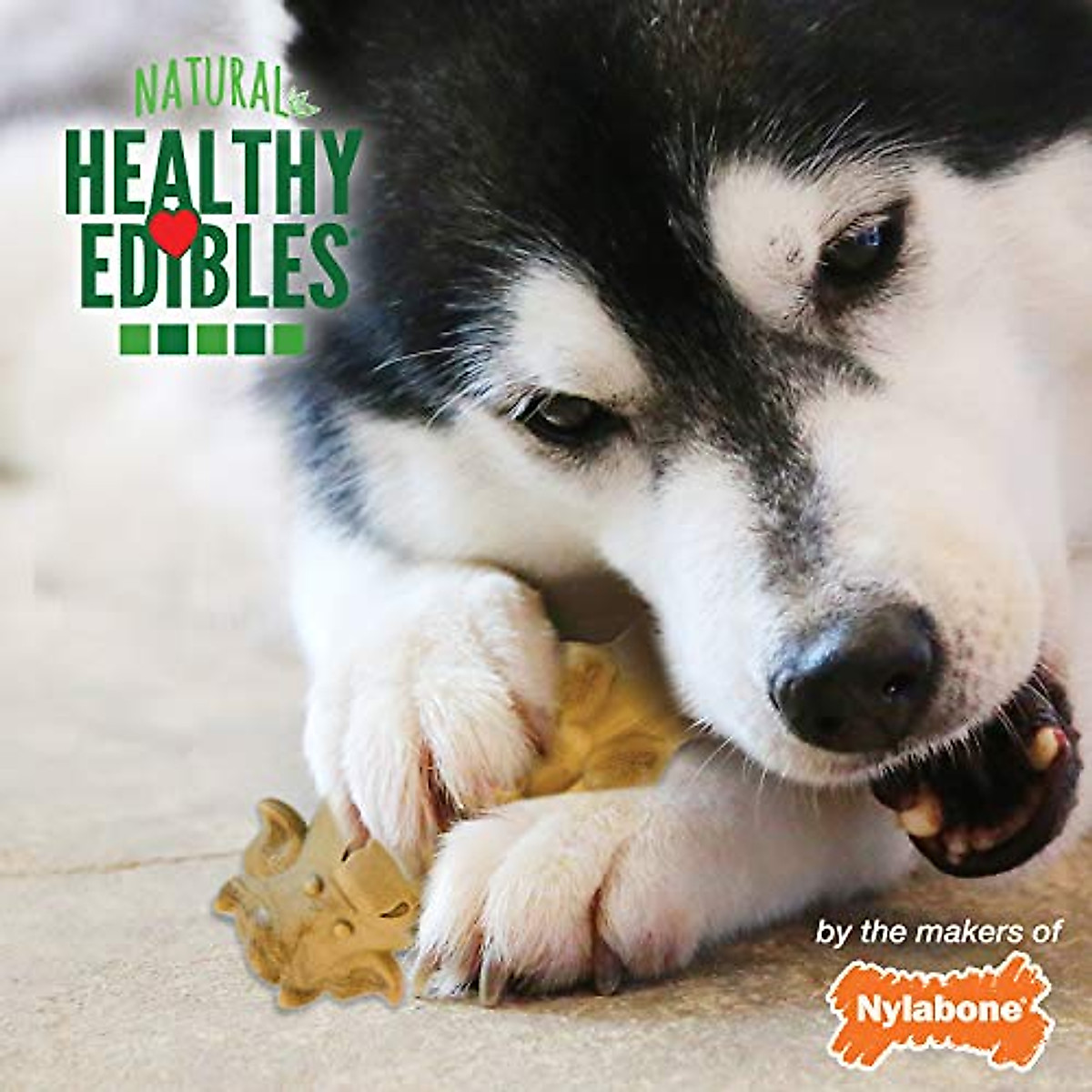 Nylabone Healthy Edibles Farm Friends Grain Free Dog Treats Beef, Chicken, Bacon, & Lamb Large/Giant (2 Count)