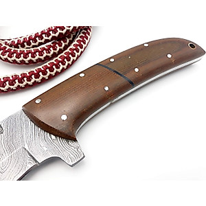 Nooraki BK-55 Handmade Damascus Hunting Bowie Knife Full Tang With Leather Sheath