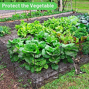 5 Panels No Dig Decorative Outdoor Garden Fence for Yard, 32 in(H) X 12 ft(L) Animal Barrier Fencing Rustproof Metal Wire Panel Border for Dog, Rabbits, and Patio Temporary Ground Stakes Defense