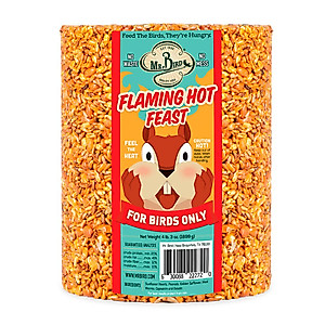 Mr. Bird Flaming Hot Feast Large Wild Bird Seed Cylinder 4 lb. 3 oz.