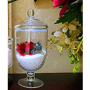 Bekmore Large Apothecary Jar with Airtight Lid in Premium Acrylic, Decorative Weddings Candy Buffet, Break-Resistant and BPA-Free, 55 Ounce