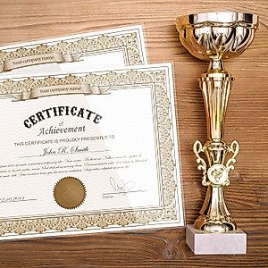 Everest Self Adhesive Laminating Sheets, Single Sided, Waterproof, Removable Adhesive Within 24 Hours, 9 x 12 Inches, 60 Clear Self Seal Laminating Sheets, Letter Size