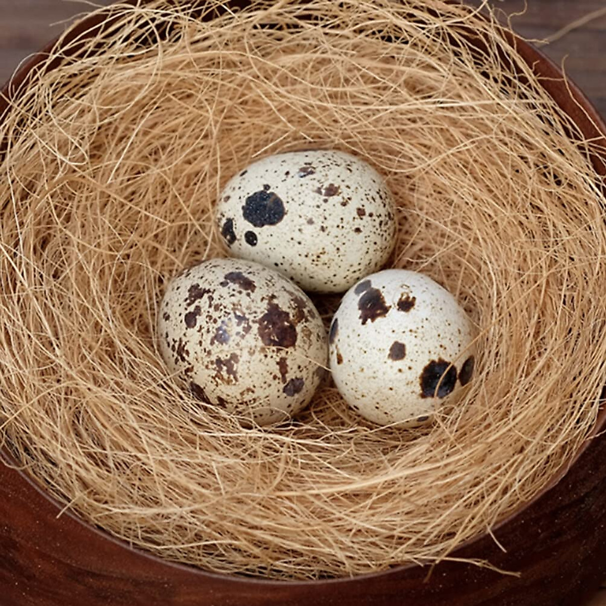 POPETPOP Coconut Fiber for Birds, Nesting Box Pads Chicken Nesting Pads Natural Coconut Fiber Nest Lining Material for Small Birds and Animals for Nest Building Bedding Hideouts 500g