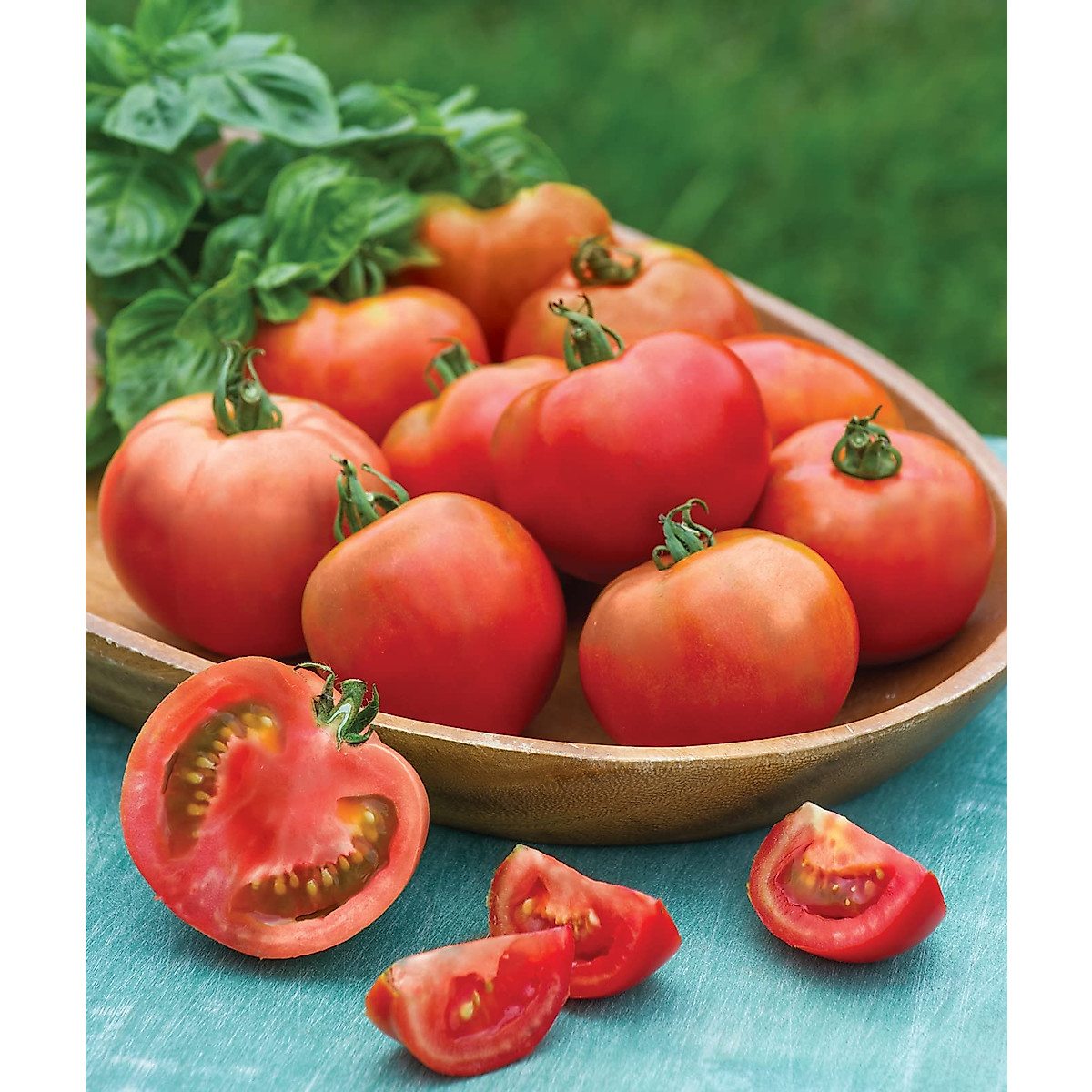 Burpee 'Early Girl',Slicing Tomato, 50 Non-GMO Seeds