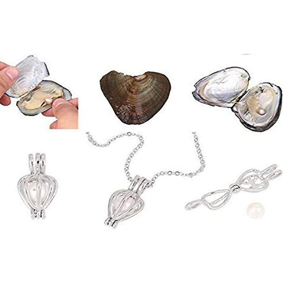 7-8mm Pearl Oyster Cultured Love Wish Round Pearls Oysters with Pearls Inside Mixed Color 5Oyster/lot +1 Necklace(Box Package)