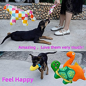 MIXCOTIA Dog Toys 25 Pack Squeaky Puppy Toys for Small Dogs Plush Squeak Dog Toy Rope Puppies Chew Toys for Fun and Teeth Cleaning Pet Toys