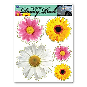 Daisy Flower Pack Magnet by Magnet America is 8" x 6" Made for Vehicles and Refrigerators