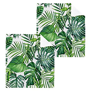 ALAZA Wash Cloth Set Tropical Palm Leaves(29c2) - Pack of 6, Cotton Face Cloths, Highly Absorbent and Soft Feel Fingertip Towels(238rh9a)