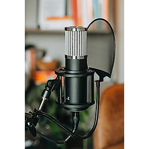 512 Audio by Warm Audio Skylight Large Diaphragm Studio Condenser XLR Microphone + Shock Mount + Bag for Recording and Podcasting