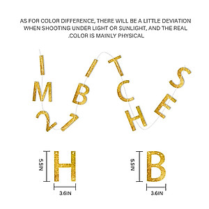 Santonila I'm 24 Bitches Banner for Women Girls 24th Birthday Party Decorations