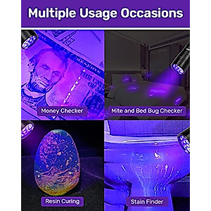 morpilot Blacklight Flashlights uv Flashlight: 12 Led 395nm 2 Pcs Black Light Flashlight Mini, Pet Urine Detector Light for Dog/Cat, Dry Stains, Resin Curing, Bed Bug