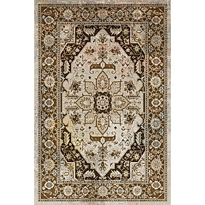 FINOREN Bohemian Traditional Area Rug,Stain Resistant Washable,Low Pile Non-Slip Rug for Living Room Bedroom Dining Room Kitchen Indoor Office,Room Decorative Rug,Coffee,5x7 Feet