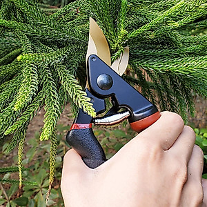 gonicc 8.5" Professional Rotating Bypass Titanium Coated Pruning Shears(GPPS-1014), Secateurs, Scissors, Pruners with Heavy Duty SK5 Blade. Soft Cushion Grip Handle for Everyone.