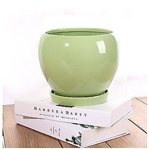 Ceramic Home/Garden Modern Flower Planter Pot with Saucer/Tray - Classic Round Apple Ball Shape Green Color