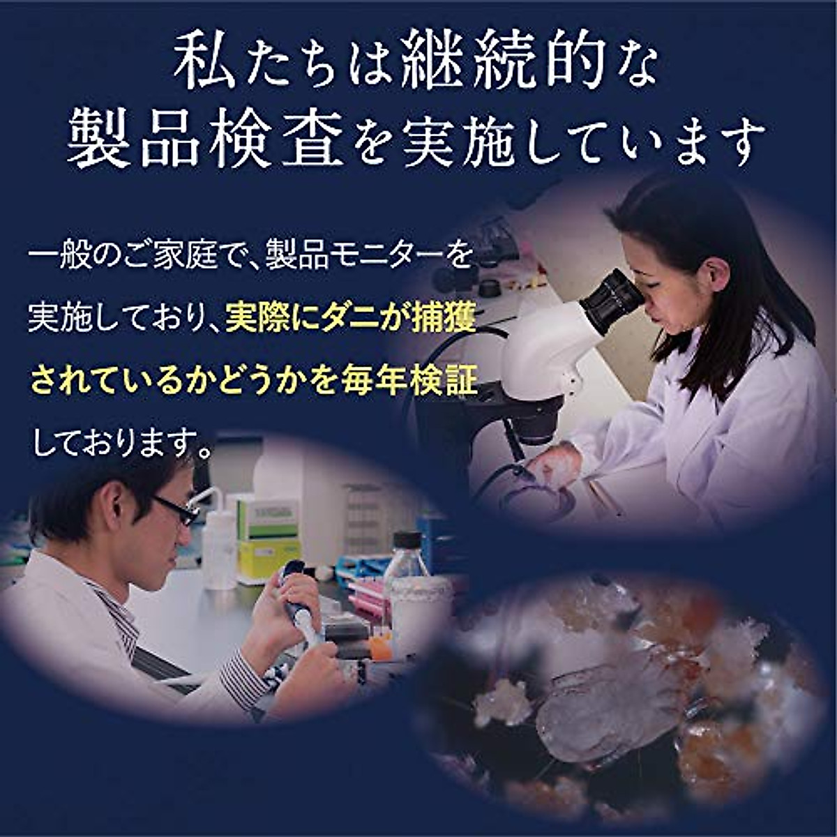 5-Pack Refill Robo catching mite (regular size) (japan import)