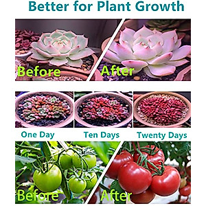 WEDCOL Grow Lights for Indoor Plants Red Blue Spectrum Plant Grow Light Adjustable Gooseneck 135 LED Grow Lamp with 3/9/12H Timer, 10 Dimmable Levels & 3 Switch Modes