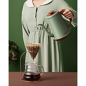 DmofwHi Gooseneck Electric Kettle(1.0L), 100% Stainless Steel BPA Free Classic Pour Over Coffee Kettle | Tea Kettle - Green