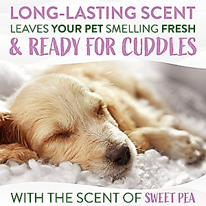 TropiClean Sweet Pea Cat & Dog Detangler Spray Dematting | Dog Conditioner Spray Derived from Natural Ingredients | Made in the USA | 16 oz.