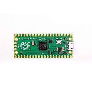 Raspberry Pi Pico with Vilros Keychain Carrying Case