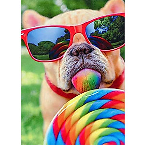 Dog With Big Lollipop Avanti Funny Birthday Card