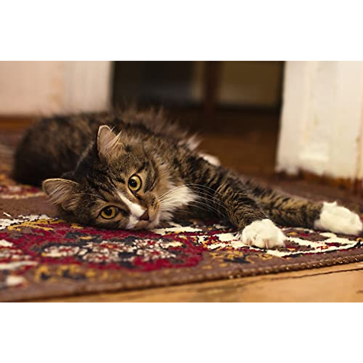 Cattolo-Kitchen Mat [2 PCS] Cushioned Anti-Fatigue Kitchen Rug (Tableware)