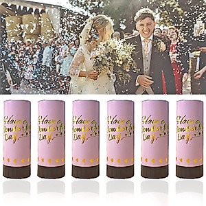 Pink Confetti Party Confetti Cannon, 6 Pack Mini Party Poppers Pink Confetti Cannon Shooters Biodegradable Confetti for Wedding Kids Birthday Party Supplies