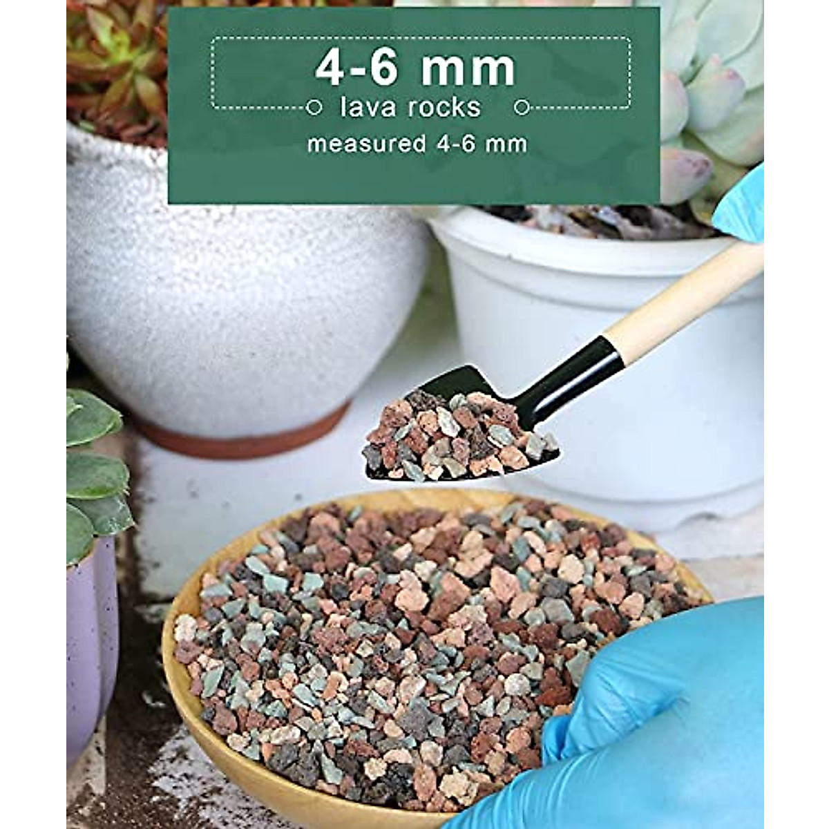Succulent and Cactus Soil Gritty Mix Rocks, 6lb Bonsai Volcanic Gravel, Indoor Plant Drainage Lava Stones, Small Decorative Potting Pebbles for Terrarium Fairy Gardening and Houseplants Top Dressing