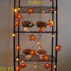 Xingpold Fall Decor Solar Pumpkin Maple Leaf String Lights Outdoor, 50LED 30ft Fall Garland with Lights Waterproof Pumpkin Lights for Thanksgiving Halloween Autumn Door Porch Home Garden Decorations