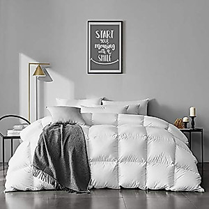 APSMILE King Size Goose Feather Down Comforter - Ultra Soft All Seasons 100% Organic Cotton Feather Down Duvet Insert Medium Warm Quilted Bed Comforter with Corner Tabs (106x90,Ivory White)